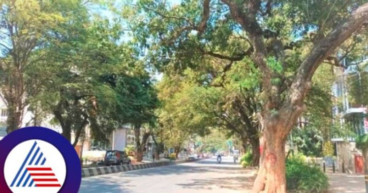 Sankey Road: ಸ್ಯಾಂಕಿ ರಸ್ತೆಯಲ್ಲಿ ಫ್ಲೈಓವರ್ ನಿರ್ಮಾಣಕ್ಕೆ ನಾಗರಿಕರು ತೀವ್ರ ವಿರೋಧ