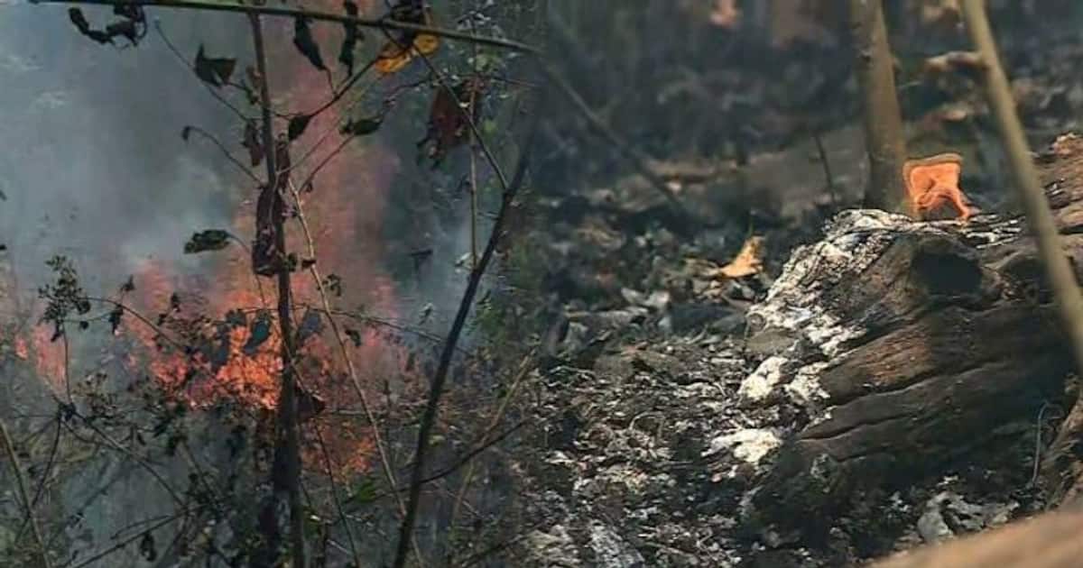 തൃശ്ശൂരിൽ കാട്ടുതീ; 100 ഏക്കറോളം വനഭൂമി കത്തി നശിച്ചു, നാലാം നാളും ...