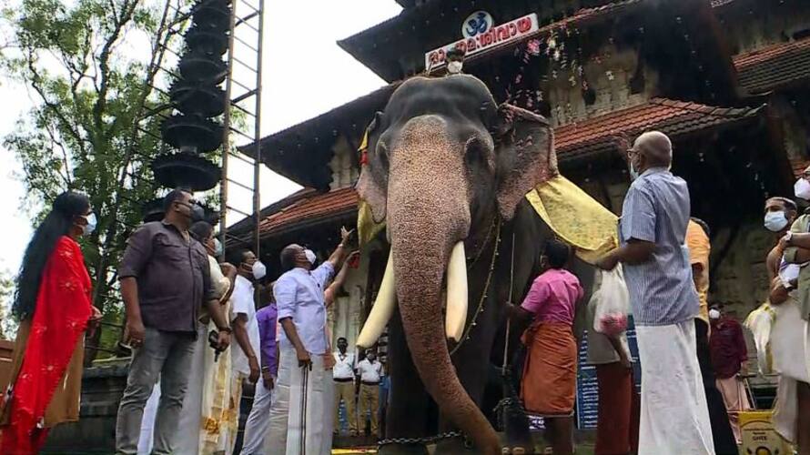 Thrissur Pooram 2023: ശക്തന്റെ തട്ടകം പൂരാവേശത്തിലേക്ക്; തൃശ്ശൂ ...