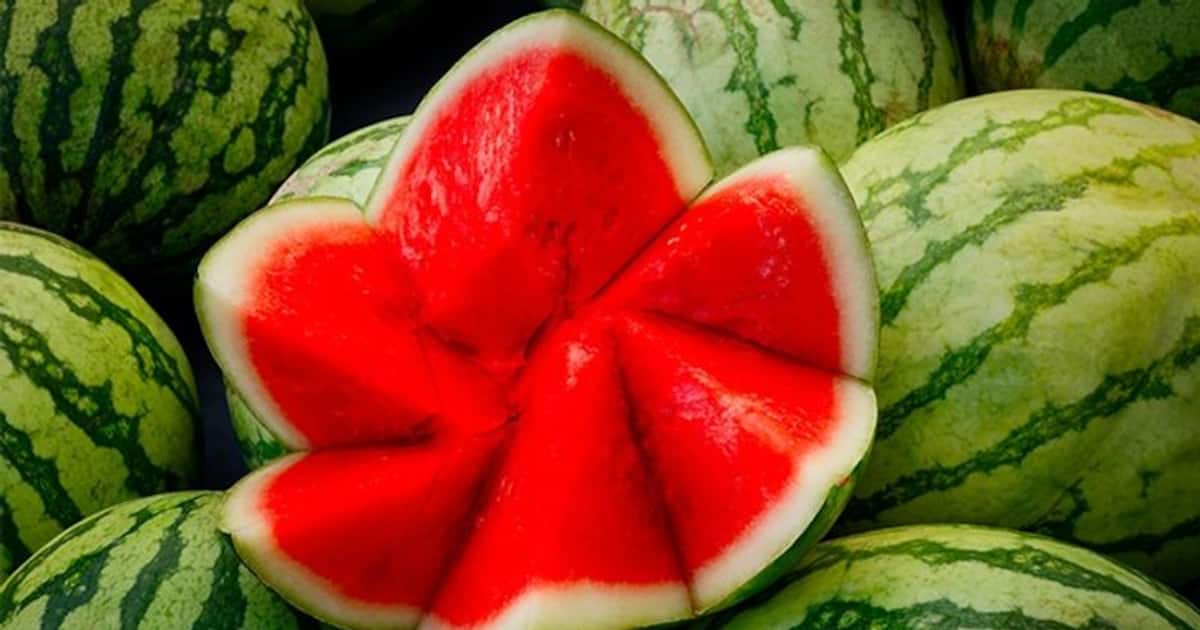 Know how to buy red, juicy, sweet watermelon without slicing it