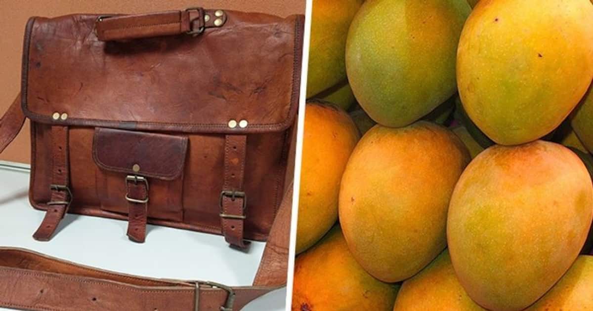 Leather from mangoes! How Chennai-based scientists developed an eco ...