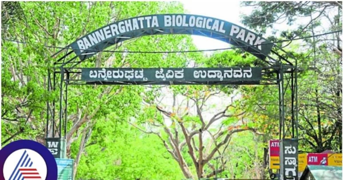 Bengaluru's elevated corridor through Bannerghatta National Park gets ...