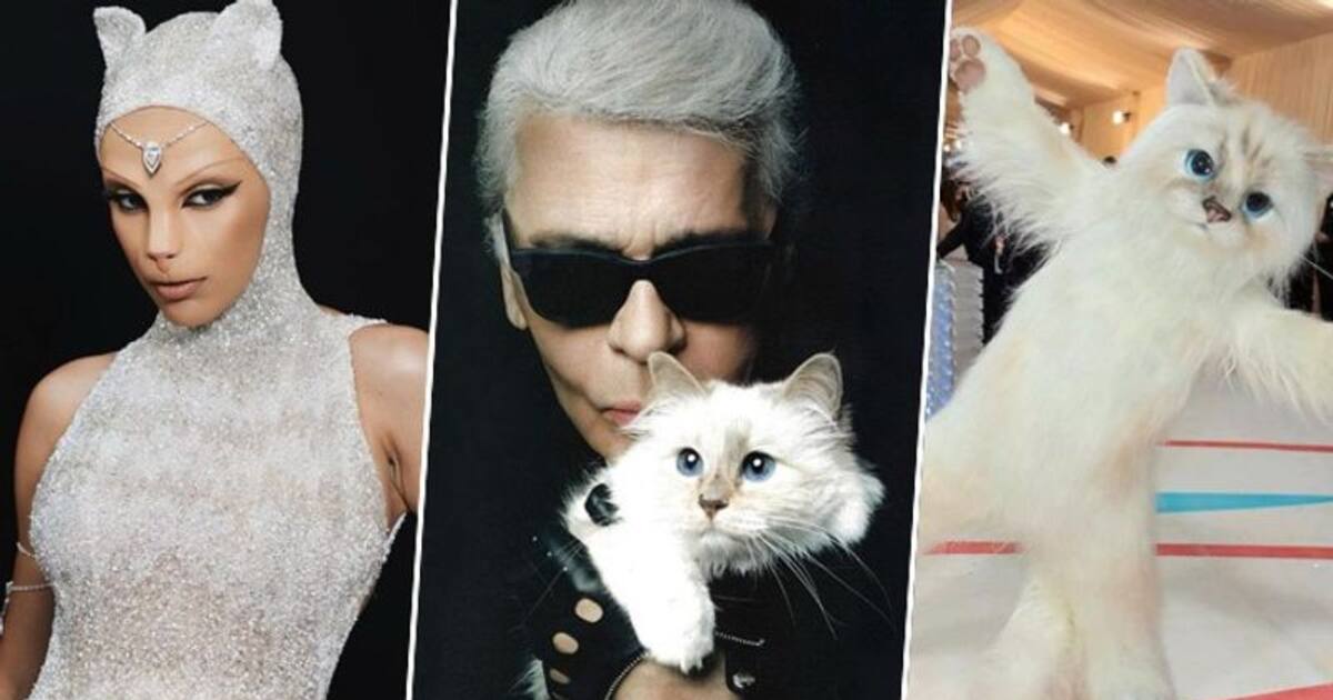 MEOW! Karl Lagerfeld's famous cat Choupette FINALLY reacts to Doja Cat ...