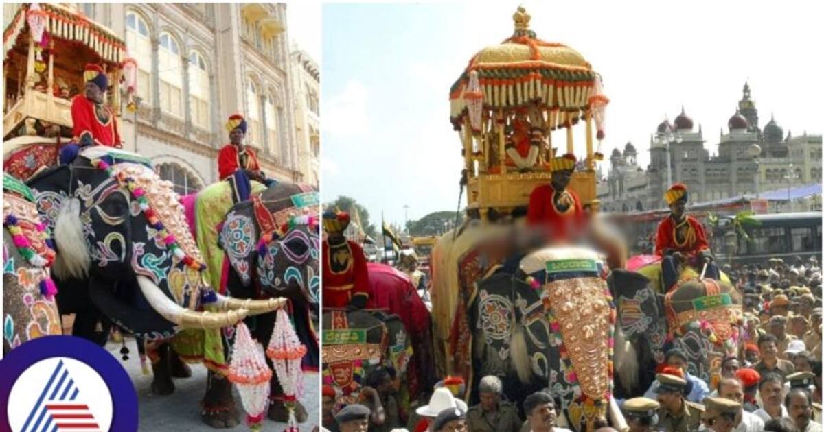 ಮೈಸೂರು ದಸರಾ ಅಂಬಾರಿ ಹೊರುವ ಬಲರಾಮ ಇನ್ನಿಲ್ಲ: 10 ದಿನ ಆಹಾರವನ್ನೇ ಸೇವಿಸಿಲ್ಲ!
