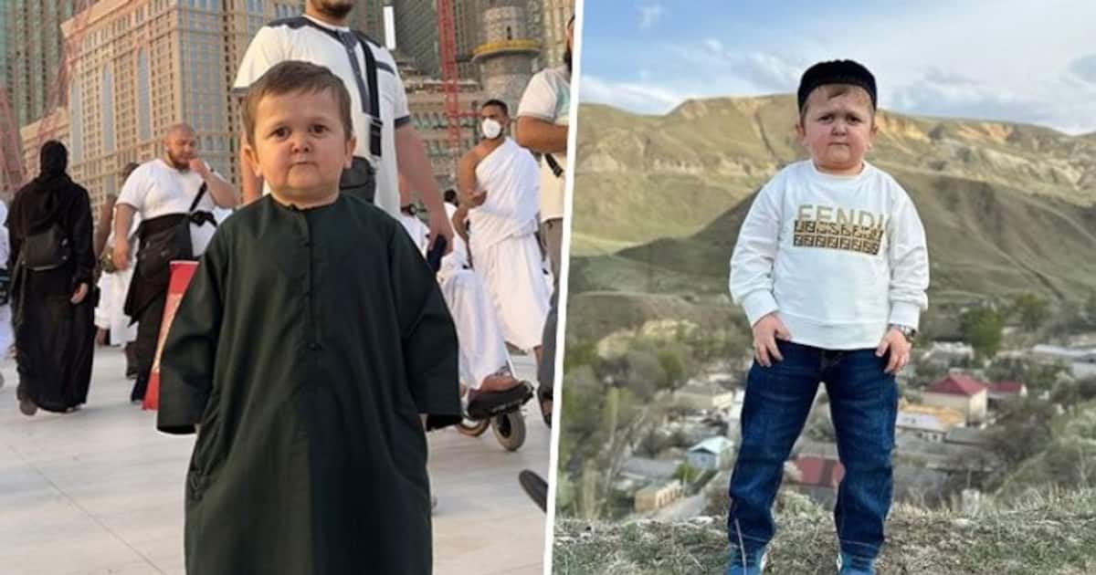 Viral Video: Internet sensation Hasbulla Magomedov arrested in ...