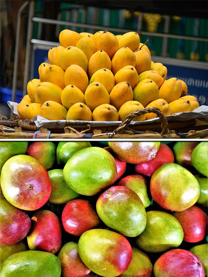 Only for mango lovers: 7 most expensive mangoes