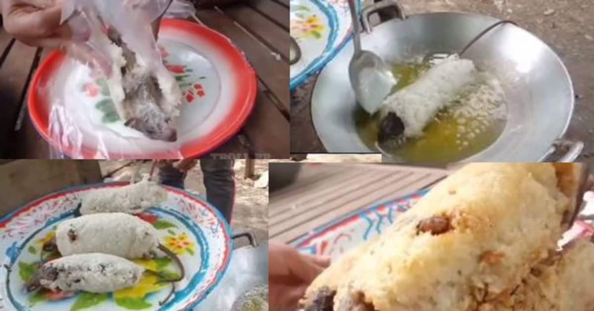 ಯಪ್ಪಾ.ಏನ್ ಜನಾನಪ್ಪ..ಇಲಿಯನ್ನೂ ಬಿಡದೆ ಫ್ರೈ ಮಾಡಿ ತಿನ್ತಾರಲ್ಲಾ!