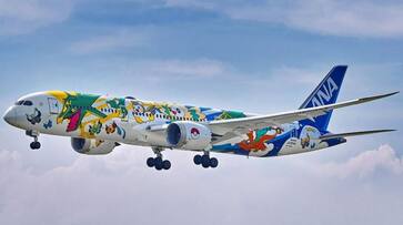 Pikachu flies into Delhi: Japanese envoy shares photo of Pokemon-themed ...