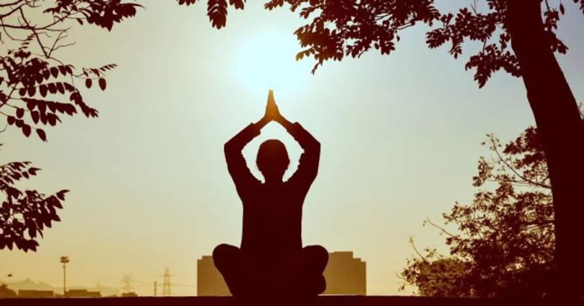 International Yoga Day 2023: 10 asanas for starters