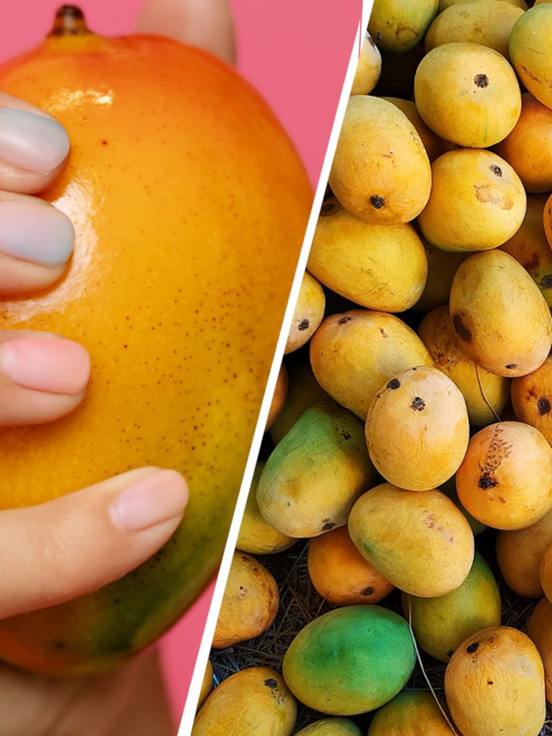Mango season: 5 BENEFITS for healthy, glowing skin
