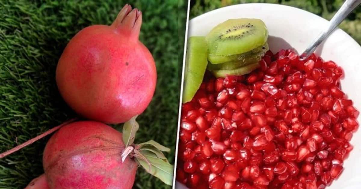 Acne prevention to skin hydration: 7 skin benefits of Pomegranates