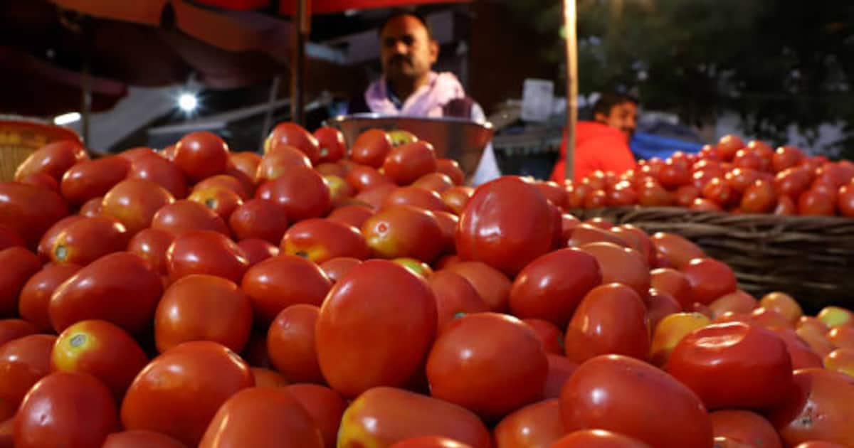 Tomato prices surge amidst monsoon arrival in Karnataka: What’s behind the sudden spike?