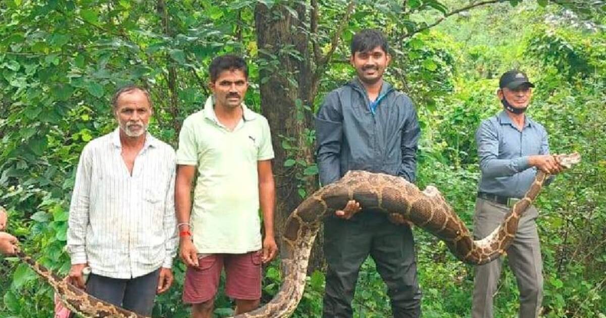 Wildlife: ನಾಯಿಯನ್ನು ನುಂಗಿದ 13 ಅಡಿ ಉದ್ದದ ಹೆಬ್ಬಾವು!