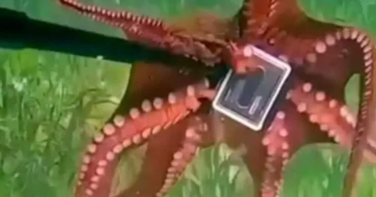 Viral Video: Octopus steals GoPro camera from Australian diver in ...