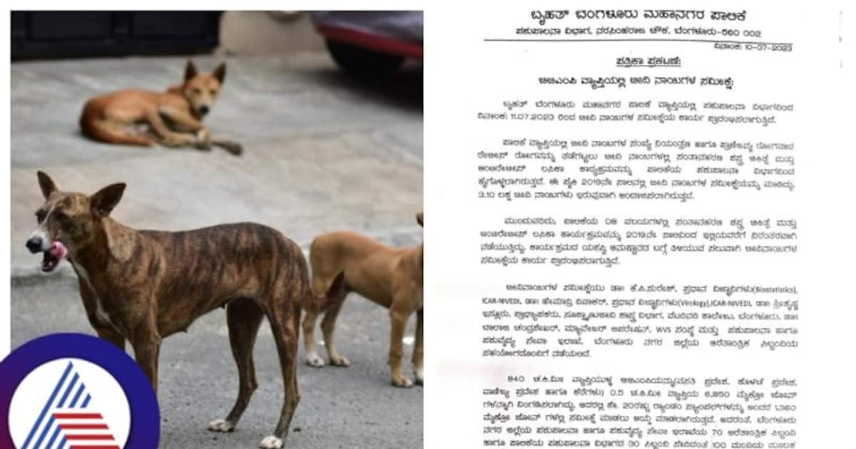 Bengaluru: BBMP launches dog survey to control rabies