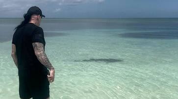 WATCH: WWE legend The Undertaker displays fearlessness, protects wife ...