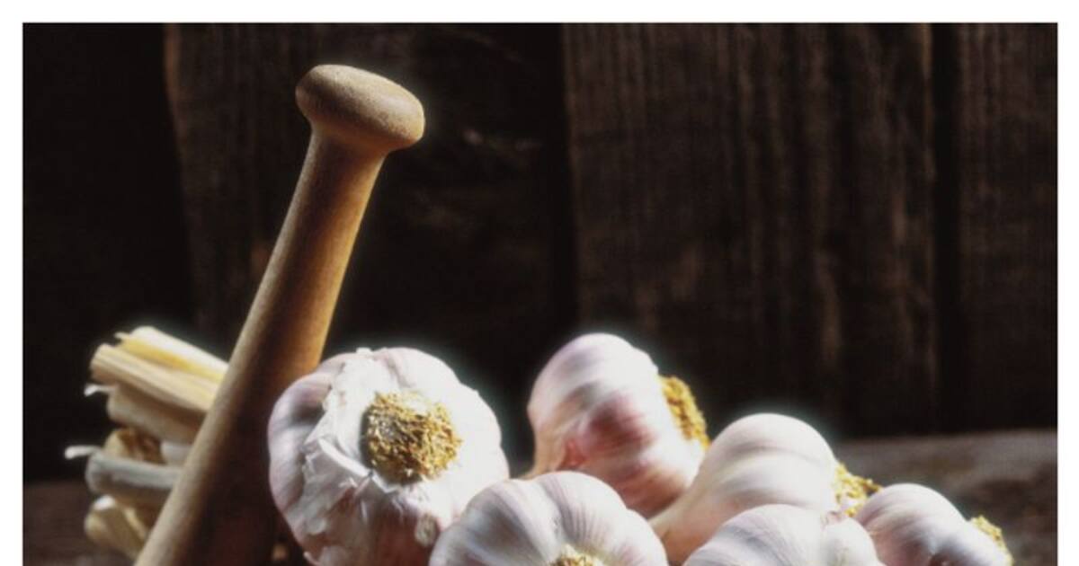 Cancer prevention to heart health: 7 health benefits of Garlic