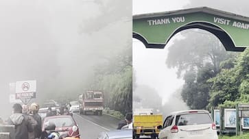 Thamarassery Churam | കോടമഞ്ഞിന്‍ കുളിച്ച് താമരശ്ശേരി ചുരം; നൂല്‍മഴ ...