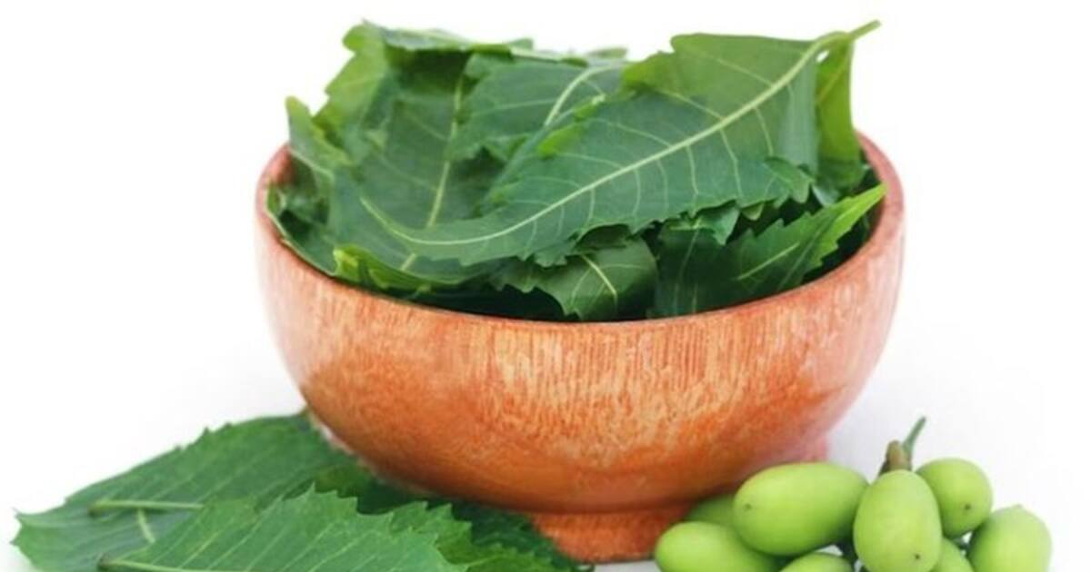 5 incredible benefits of using Neem for our Skin