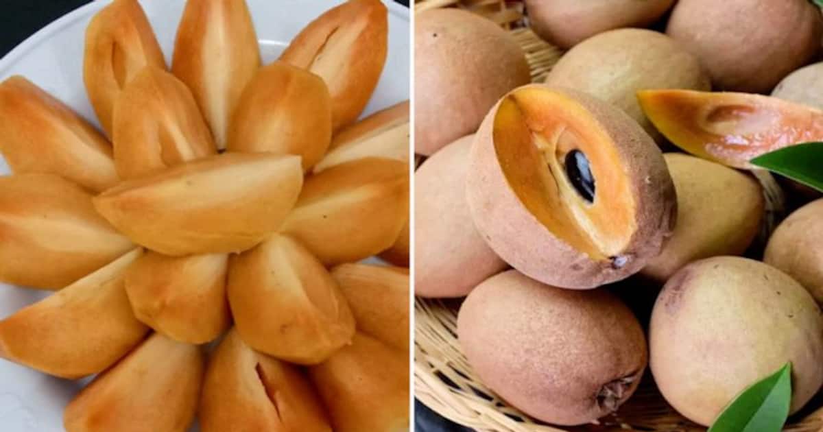 Sapodilla: tropical treasure revealing 5 surprising health benefits