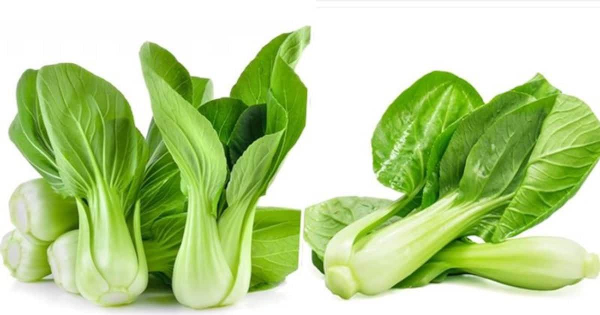Anti-oxidant to nutrient powerhouse: Remarkable benefits of Pak Choy