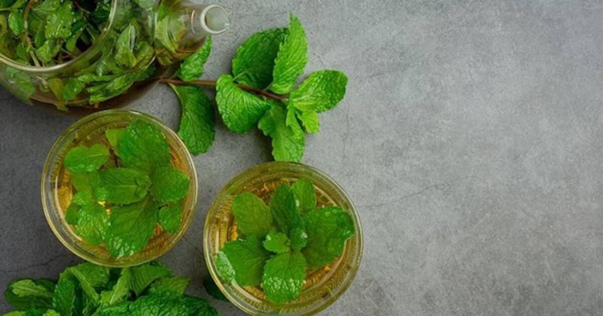 5 Health benefits of Peppermint on your Body