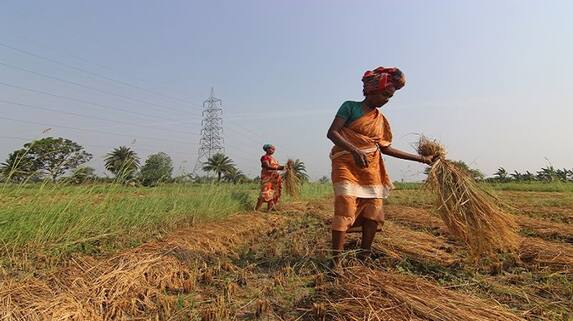 Urea Gold unveiled: How this fertilizer empowers farmers in poll-bound ...