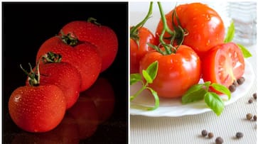 Tomatoes: A nutrient-packed superfood with surprising Health Benefits