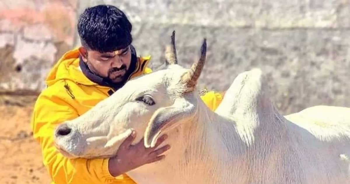 Who is Monu Manesar, the Bajrang Dal leader at centre of communal ...