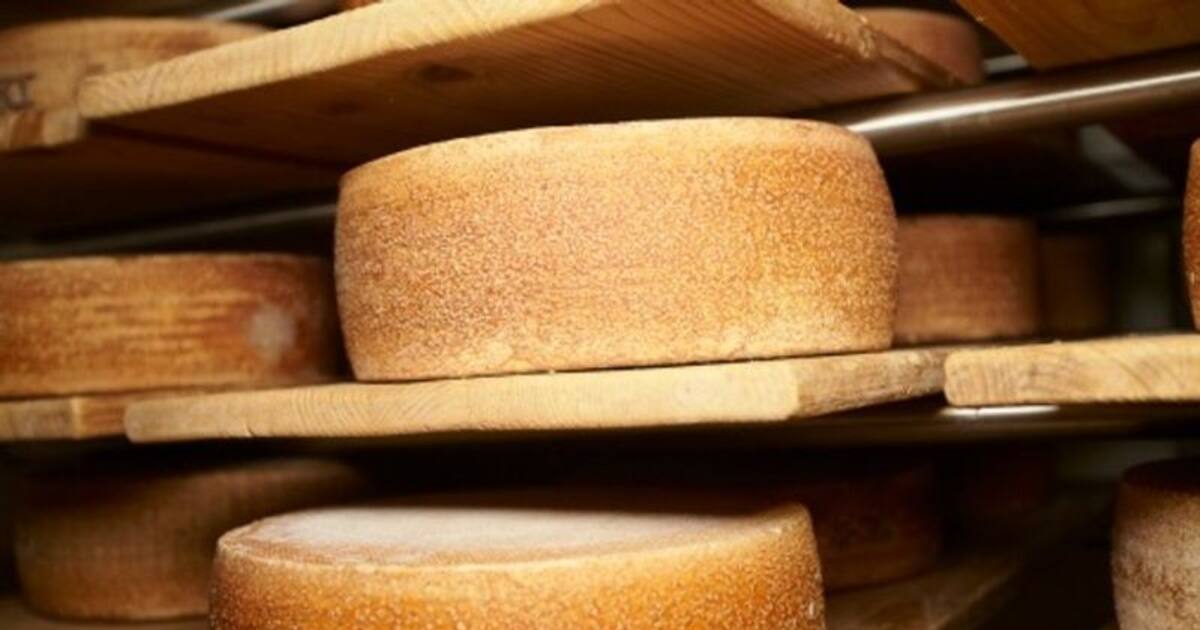 Fatal mishap: Italian cheesemaker dies after being crushed by thousands ...