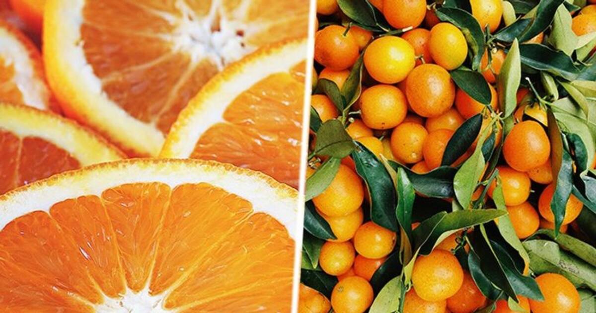 Oranges: The juicy pathway to stronger, shinier hair