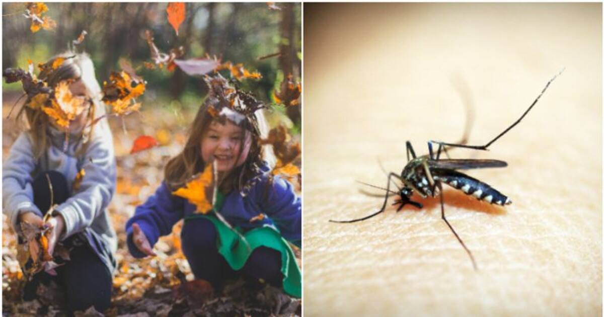 6 ways to Safeguard Children from Mosquitoes during Outdoor adventures
