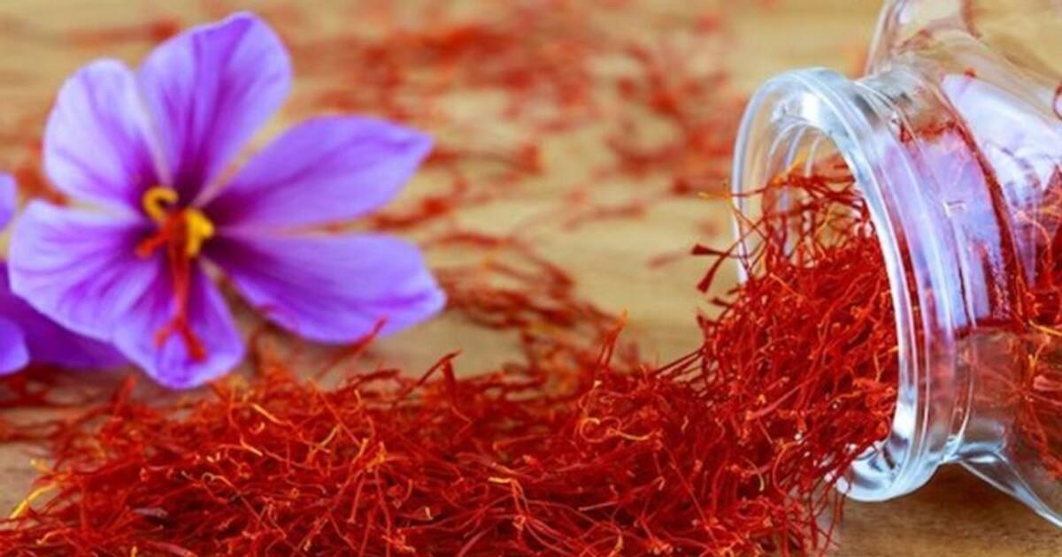 Indian ingredients: 5 surprising benefits of Saffron in improving your ...