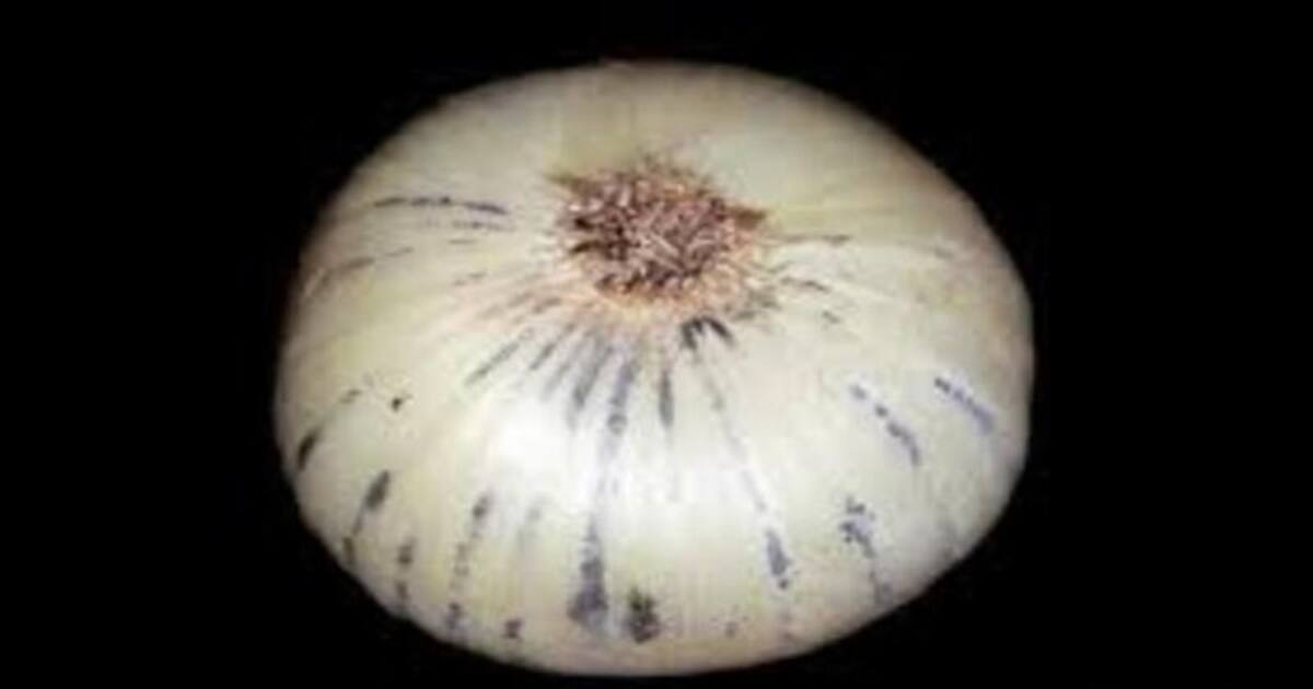 is black mold on onions dangerous in tamil