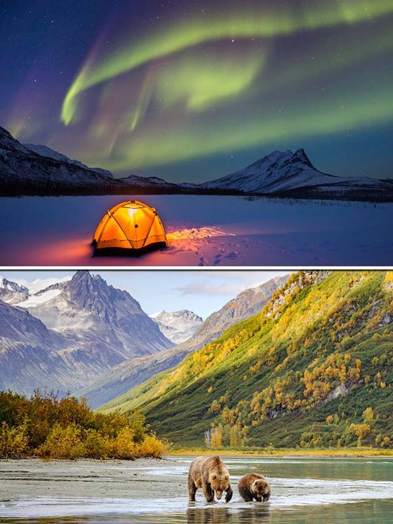 Wildlife to northern lights: 7 things that make Alaska dreamy