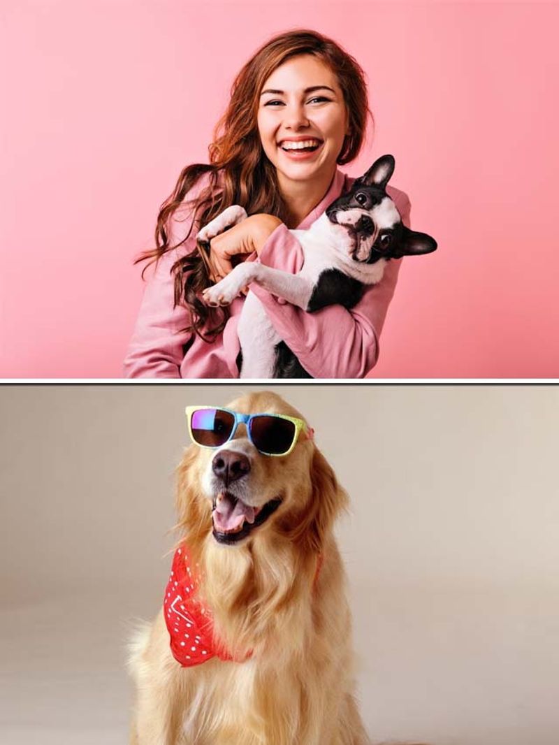Dogs to hamsters: 7 comfort pets perfect for grief therapy