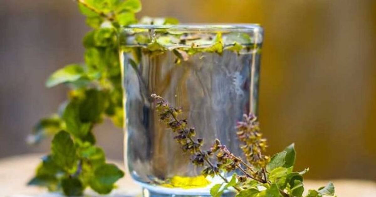Health hacks: 5 surprising benefits of Tulsi Water