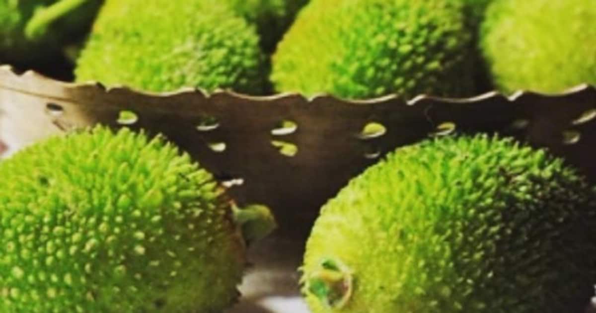 Health Benefits of Kantola: From Heart Health to Skin Vitality ...