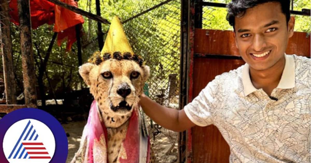 ‘Cheetah is the new King of Jungle’: Dr Bro’s viral humorous video
