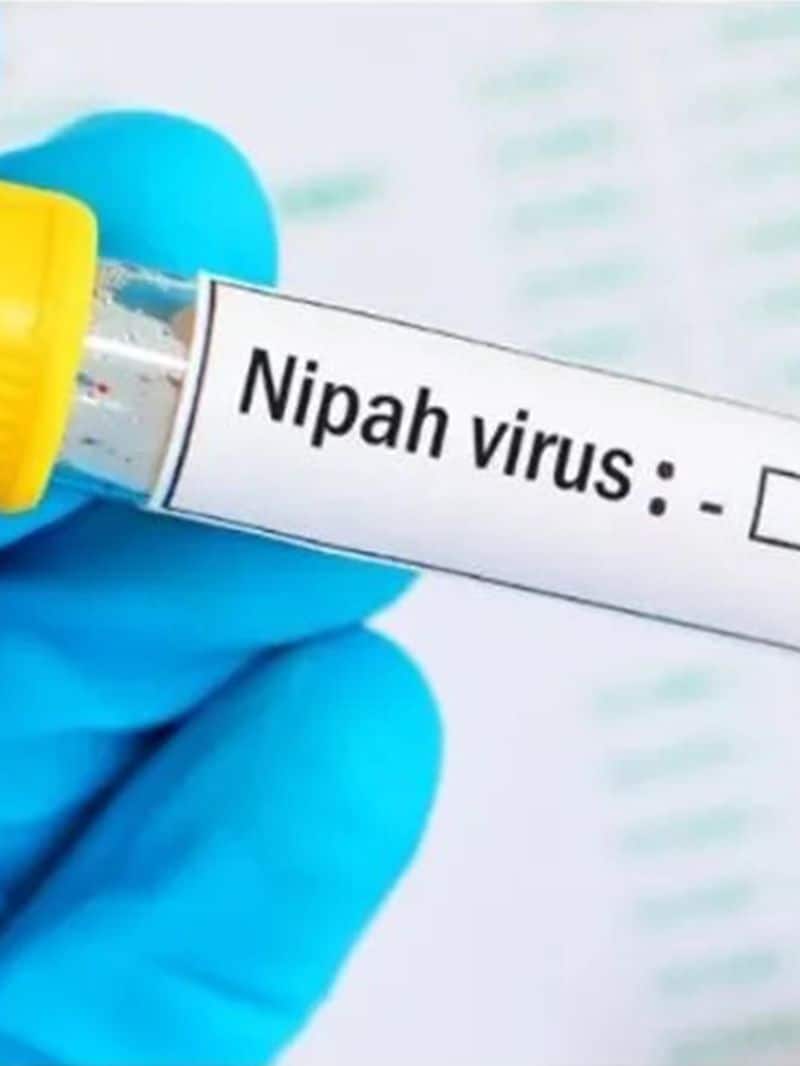 Nipah alert: Prevention tips you need to be aware of