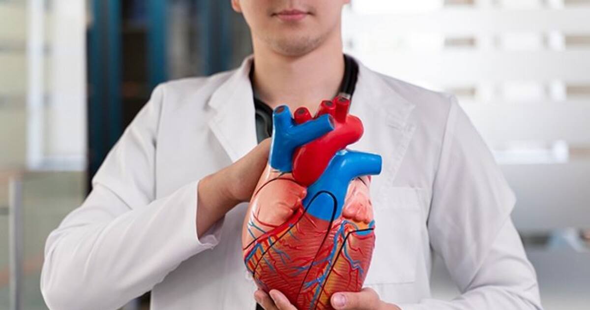 Understanding angioplasty and stent placement: Here's what you need to know