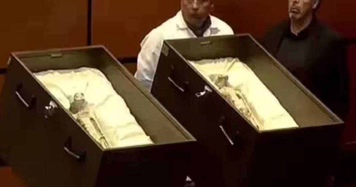 Alien Corpse : அப்போ அதெல்லாம் உண்மையா? 3 விரல்கள் கொண்ட ஏலியன்ஸ் ...