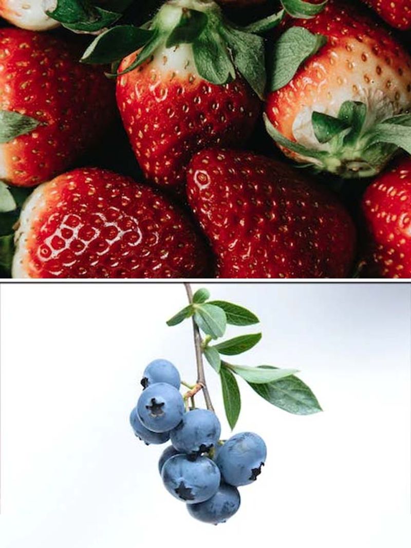 Strawberry to Blueberry: 7 types of juicy berries