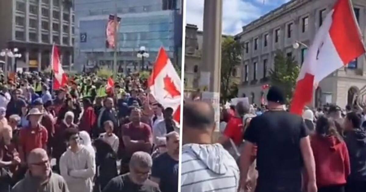 Protests erupt in Canada over controversial school curriculum, gender ...