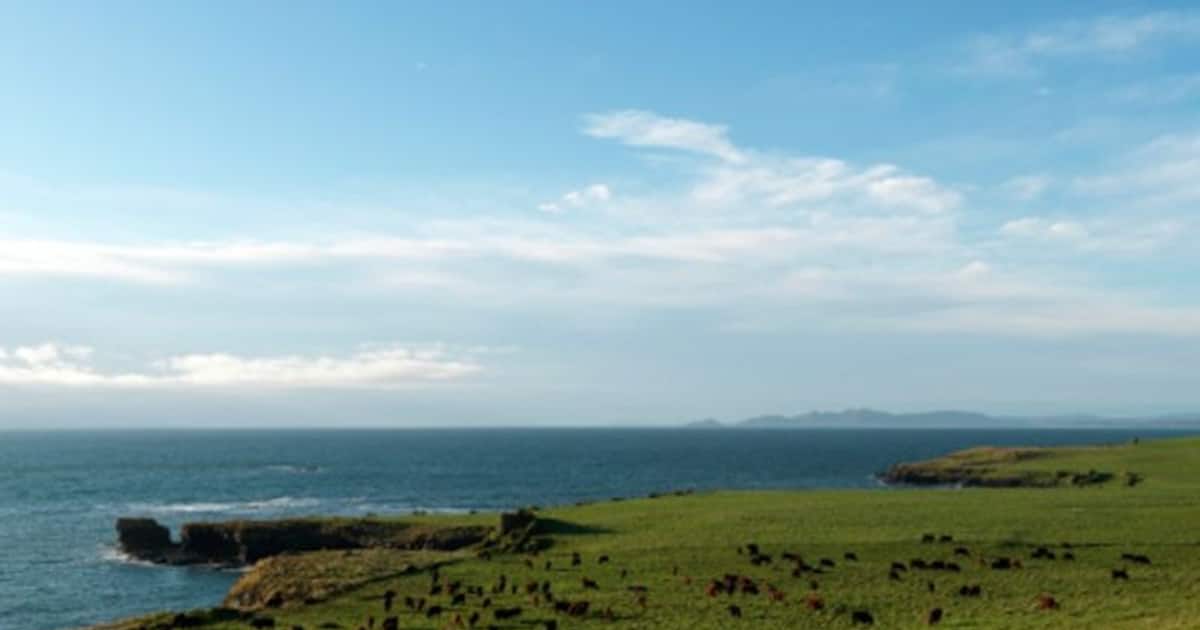 Breathe easy! Exploring Cape Grim, the place with the cleanest air on Earth