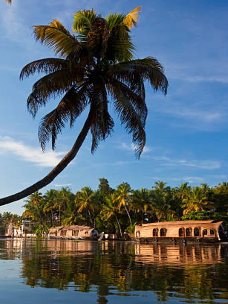 Love Alappuzha? Explore these places in Kerala's Venice of the East