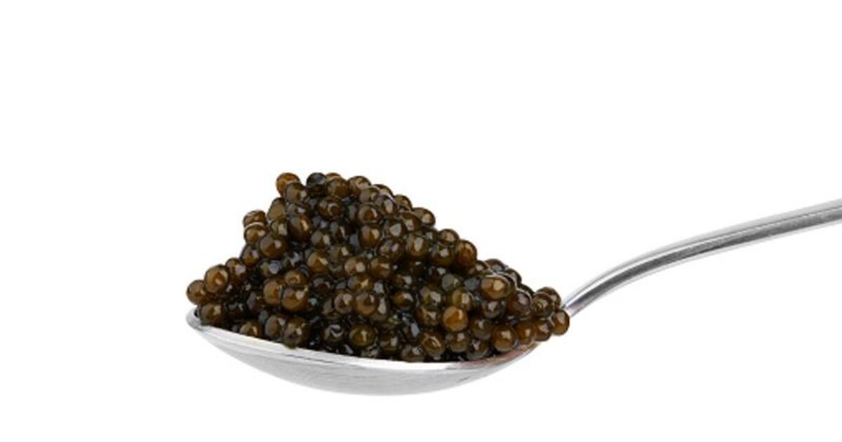Caviar: ലോകത്തിലെ ഏറ്റവും ചിലവേറിയ ആഡംബര ഭക്ഷണങ്ങളിലൊന്ന് ഒരു ...