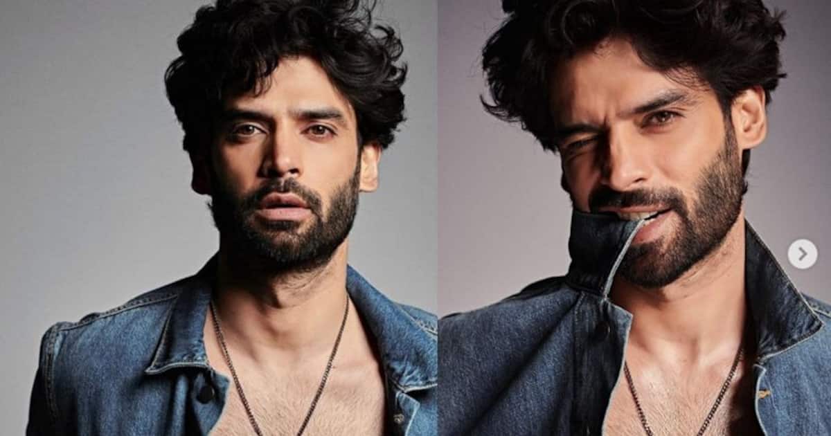 Gaurav Arora’s Biography | Birth | Education | Family | Marriage | Films | Facts