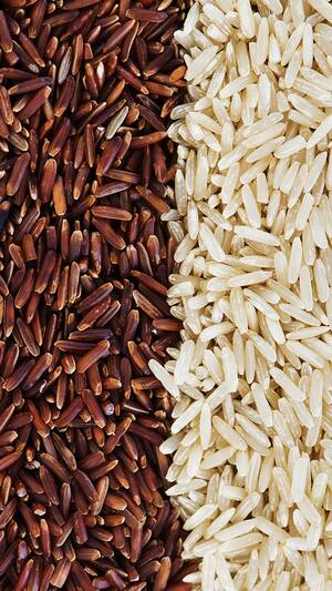 Is red rice better than white rice?rsl