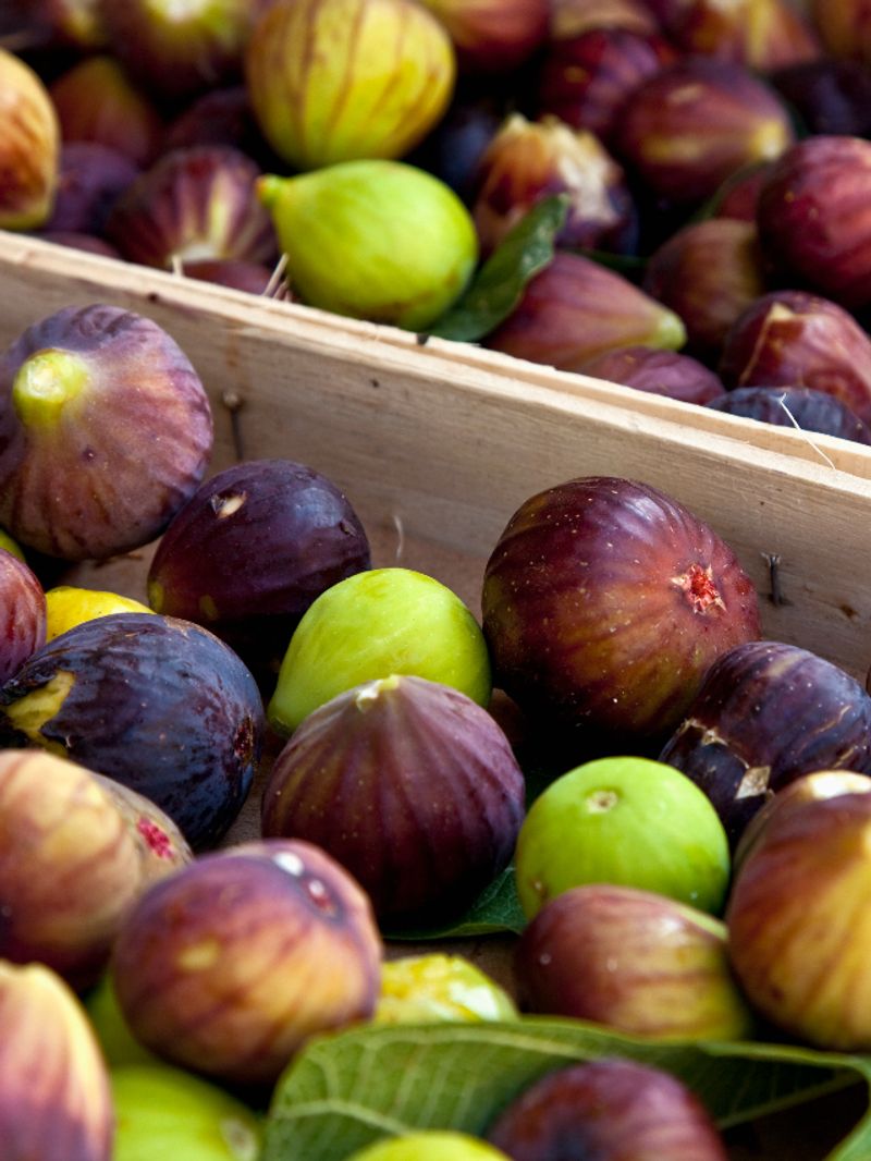 Heart health to weight management: 7 benefits of eating figs